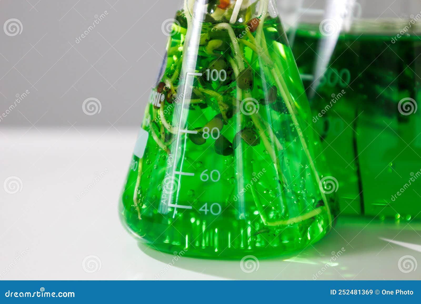 Research and Biotech Science Scientists are Developing Research on ...