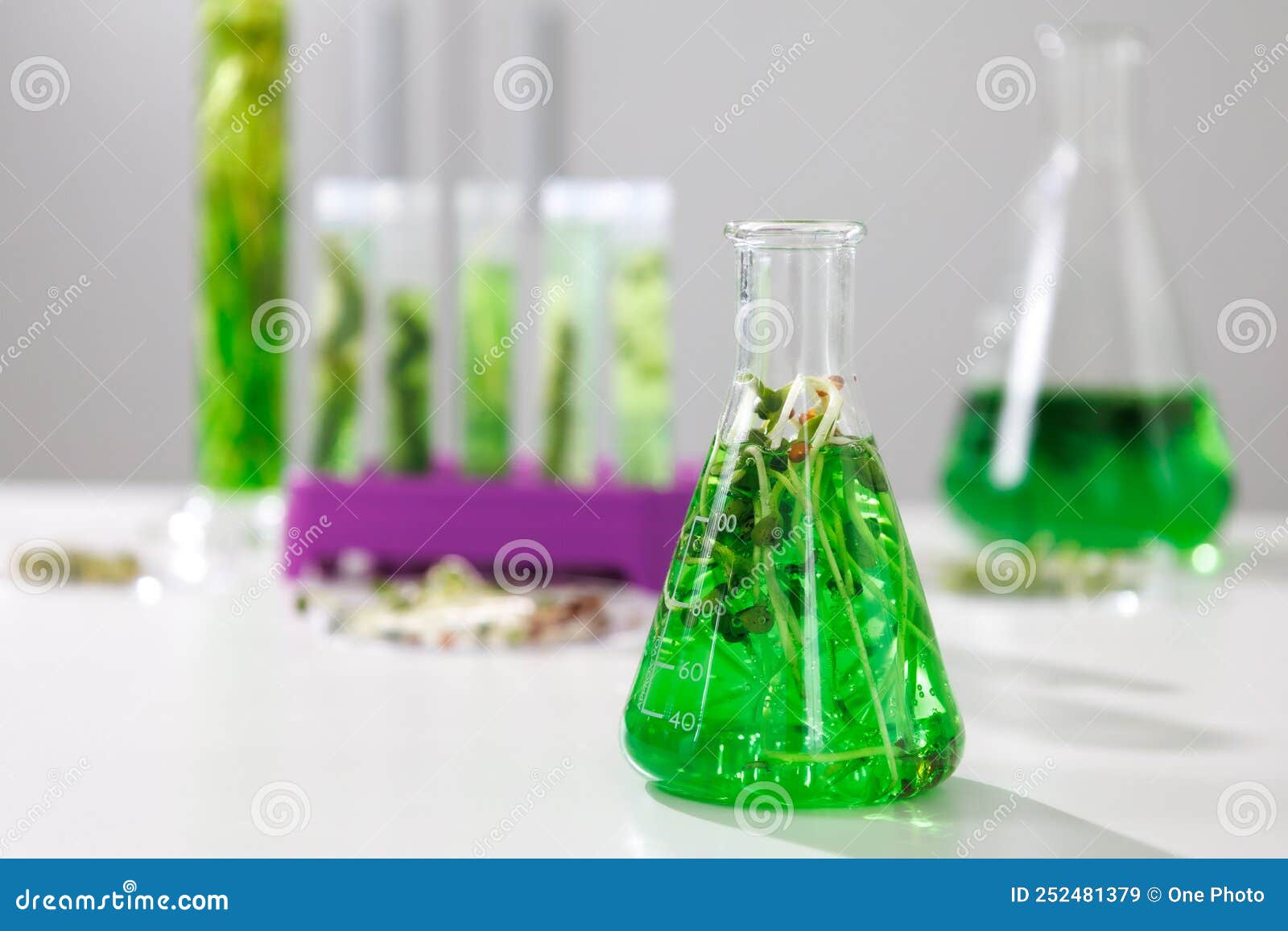 Research and Biotech Science Scientists are Developing Research on ...