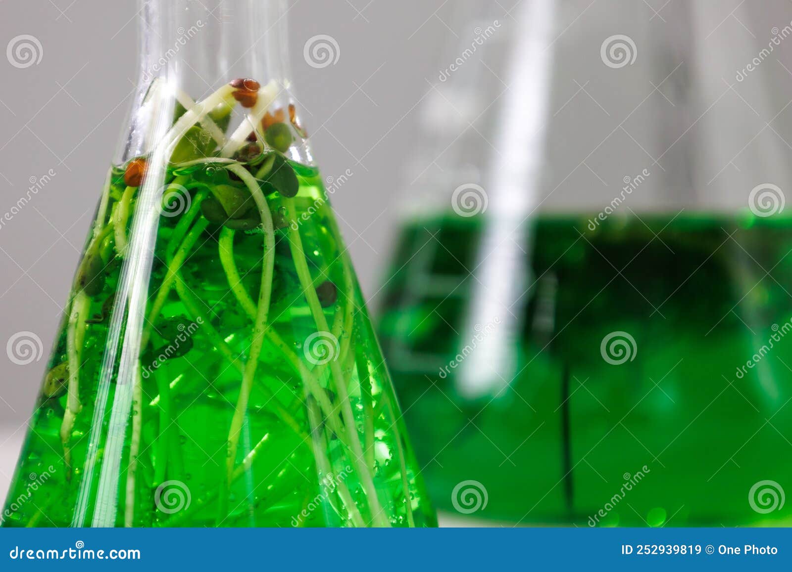 Research and Biotech Science Scientists are Developing Research on ...