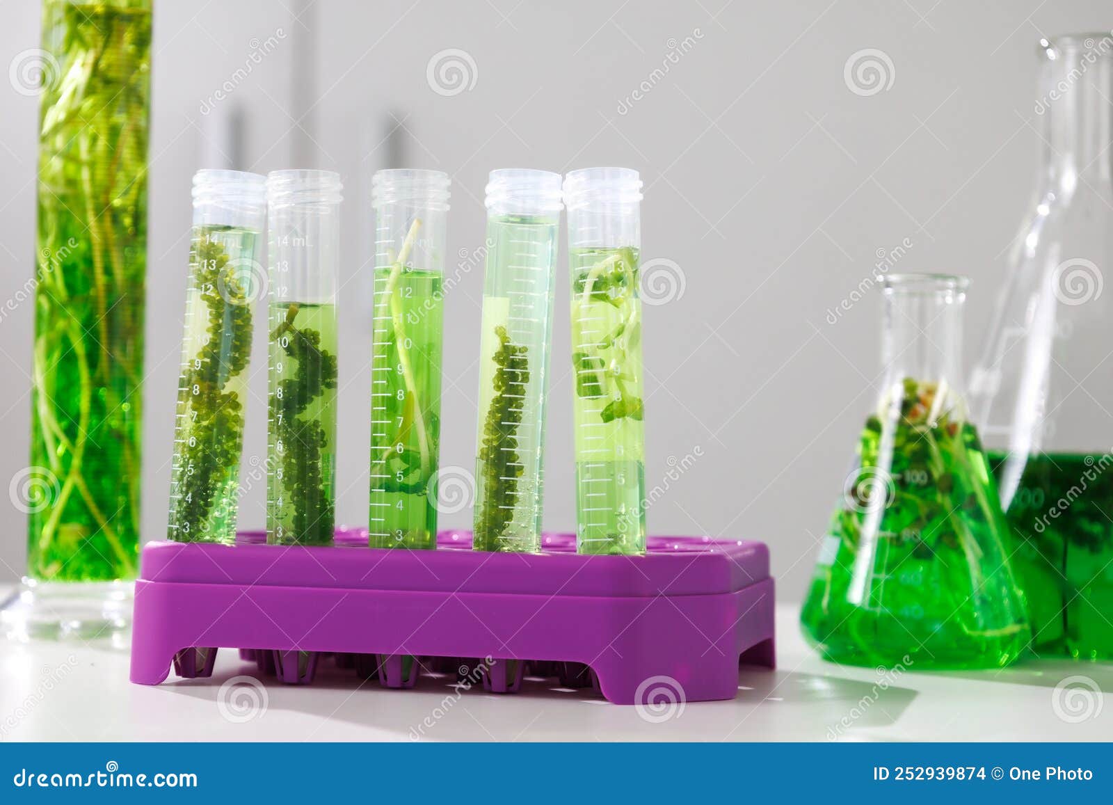 Research and Biotech Science Scientists are Developing Research on ...