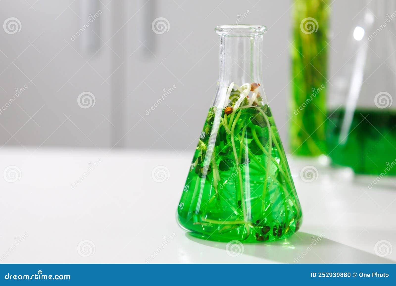 Research and Biotech Science Scientists are Developing Research on ...