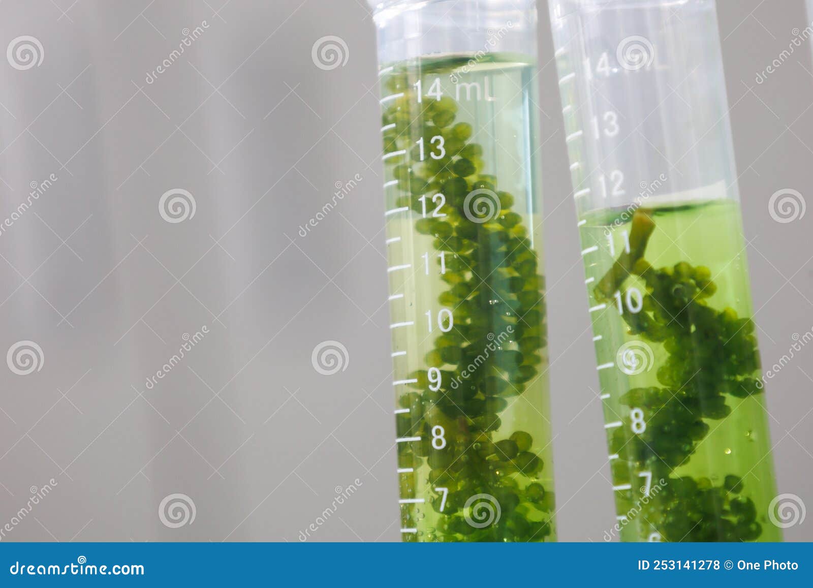 Research and Biotech Science Scientists are Developing Research on ...