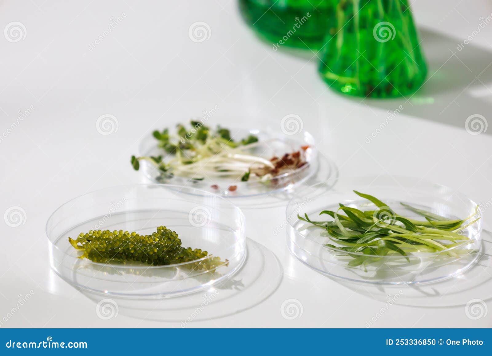 Research and Biotech Science Scientists are Developing Research on ...