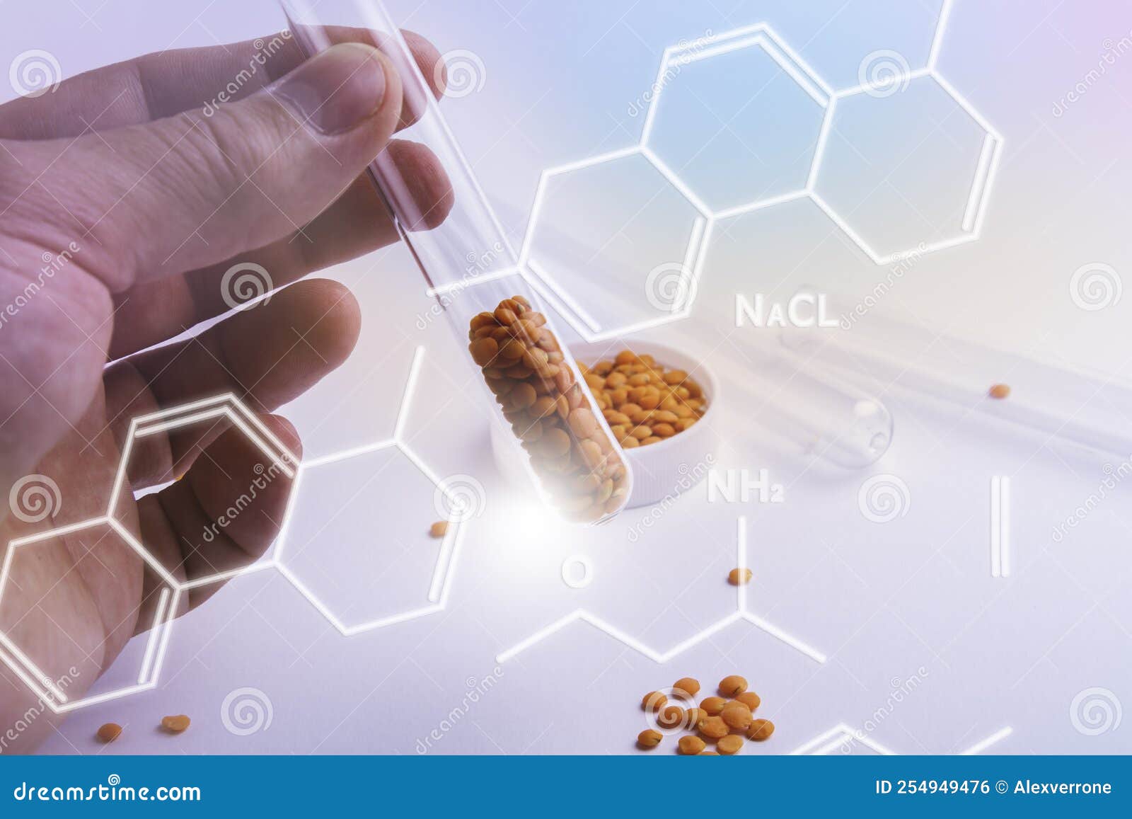 Research and Development of New Varieties of Seeds. Selection and ...