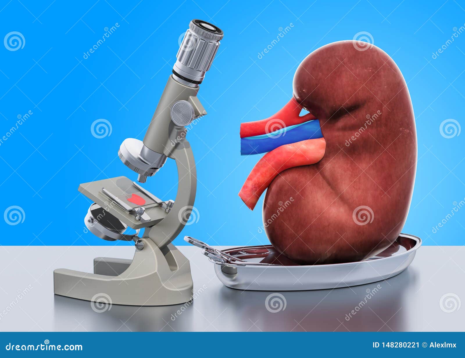 Research and Diagnostics of Kidney Disease Concept. Laboratory ...