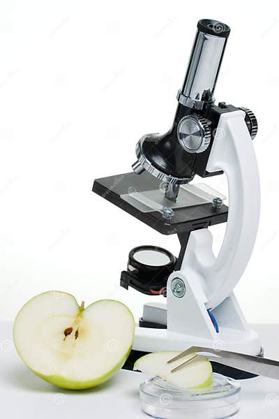 Research on healthy eating stock image. Image of chemistry - 1735107