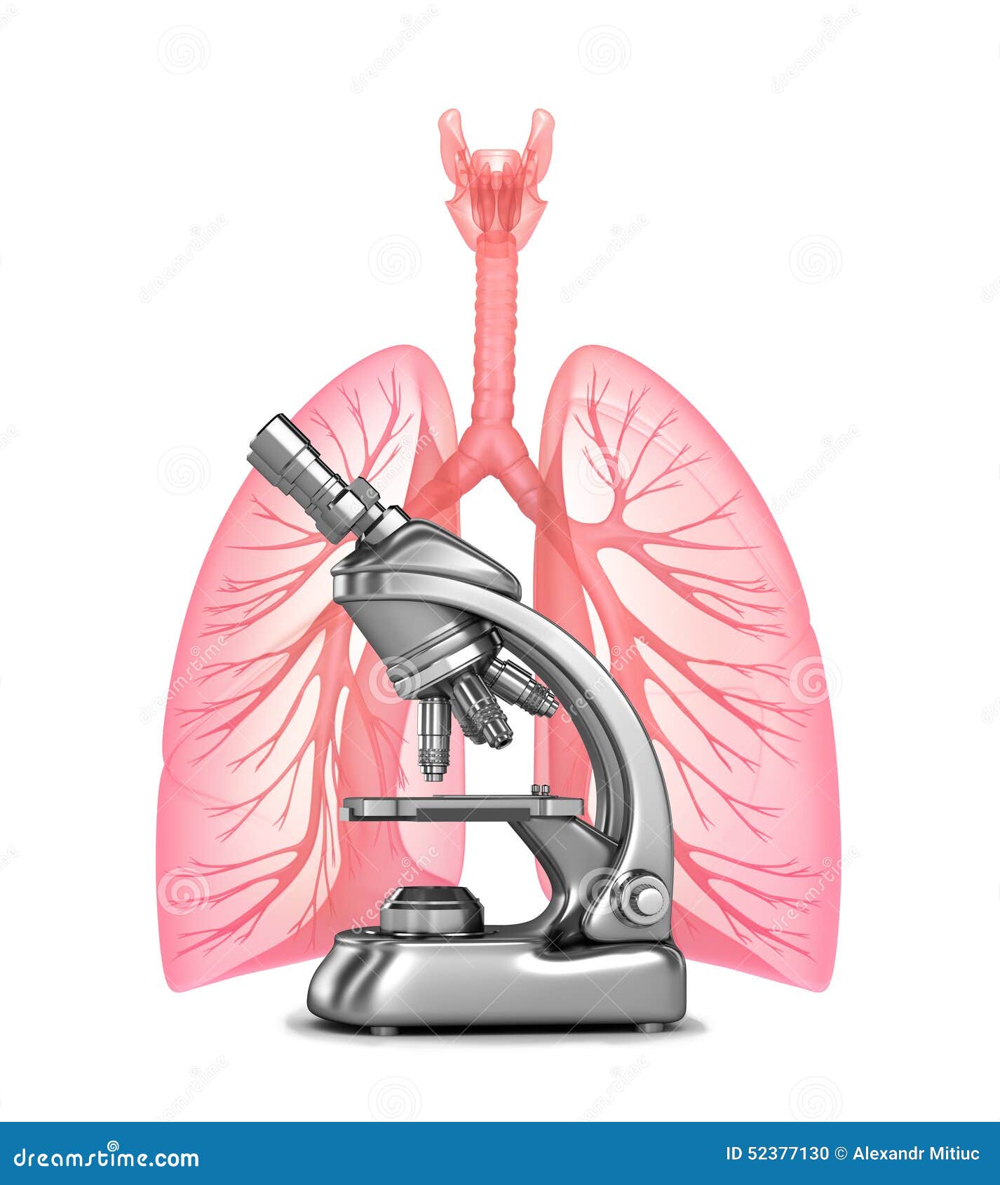 Research Human Lungs Bronchi Stock Illustrations – 278 Research Human ...