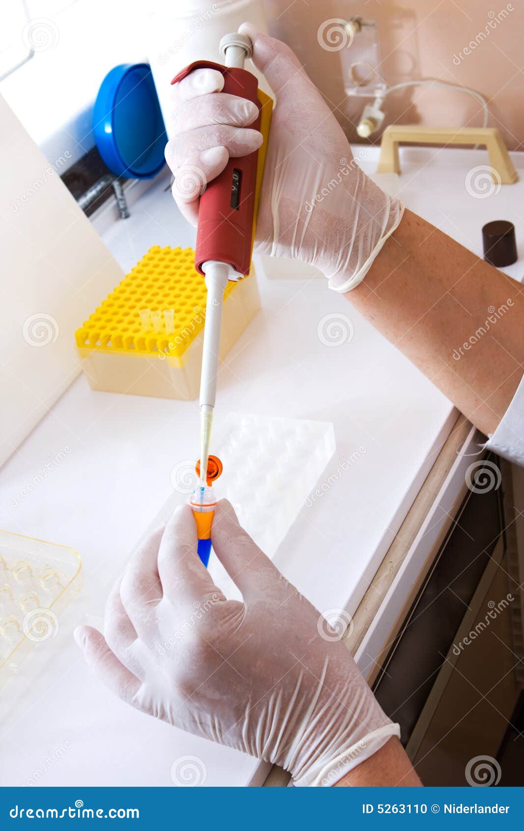 Research in laboratory stock photo. Image of industry - 5263110
