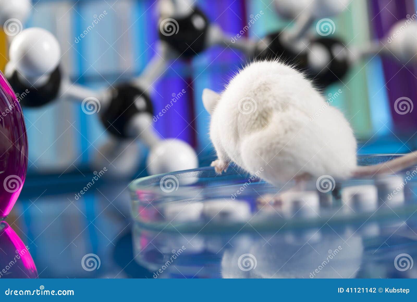 Research on Mauses in the Laboratory Stock Photo - Image of medicine ...