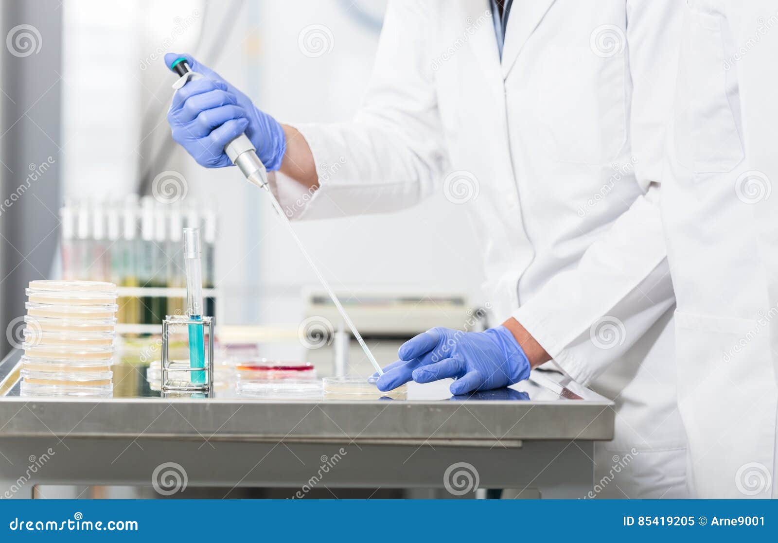 Research Operator Preparing Samples in Petri Dishes Stock Image - Image ...