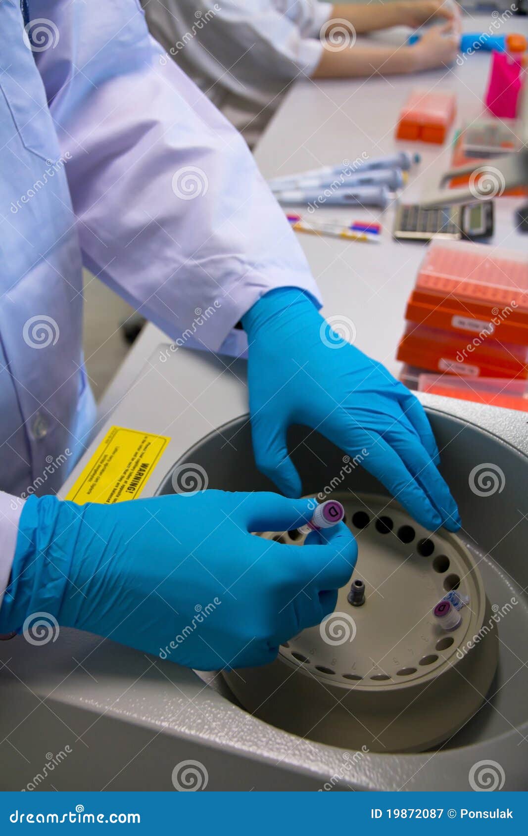 Research Scientist Putting Test Tube Stock Image - Image of drug ...