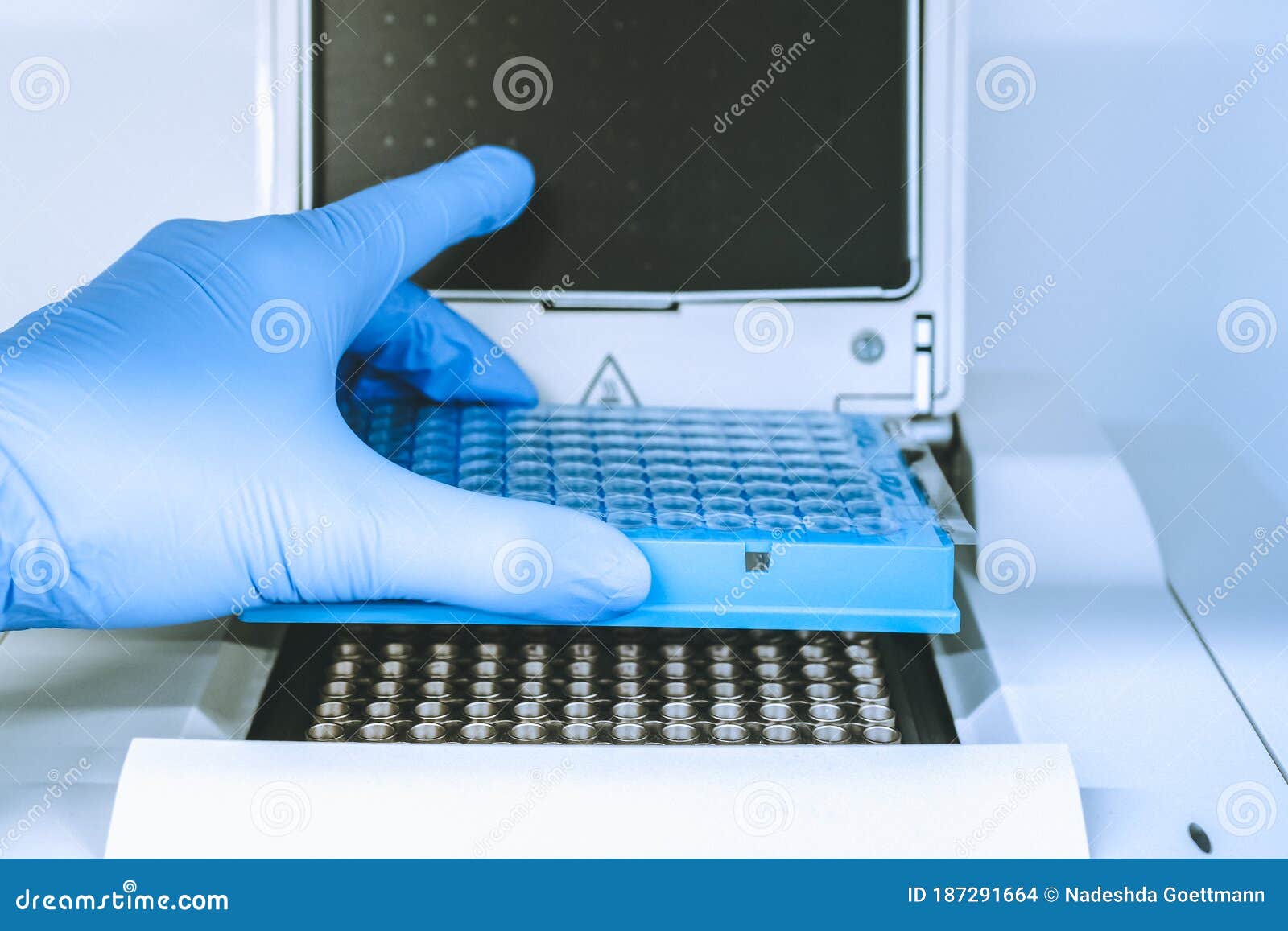 Research Scientist Putting Test 96 Well Platte into Real-time Pcr ...