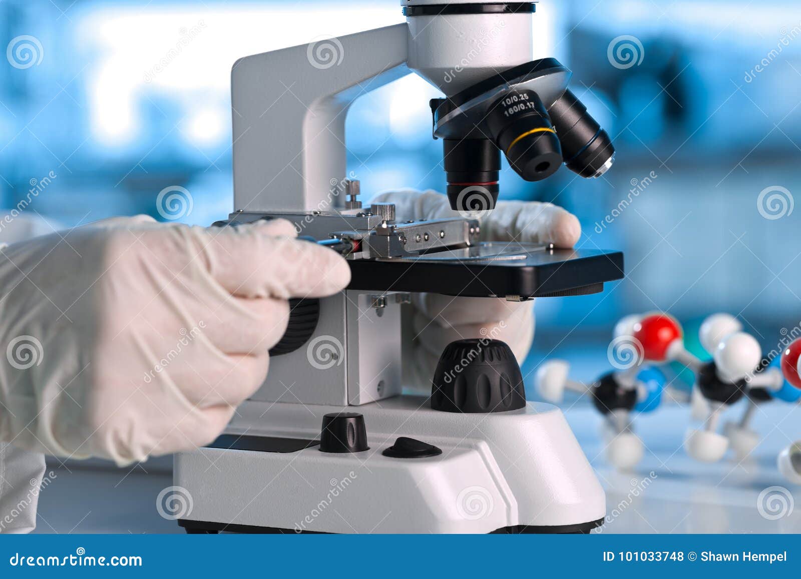 Research Scientist Working with Specimen Plate on Microscope Wit Stock ...