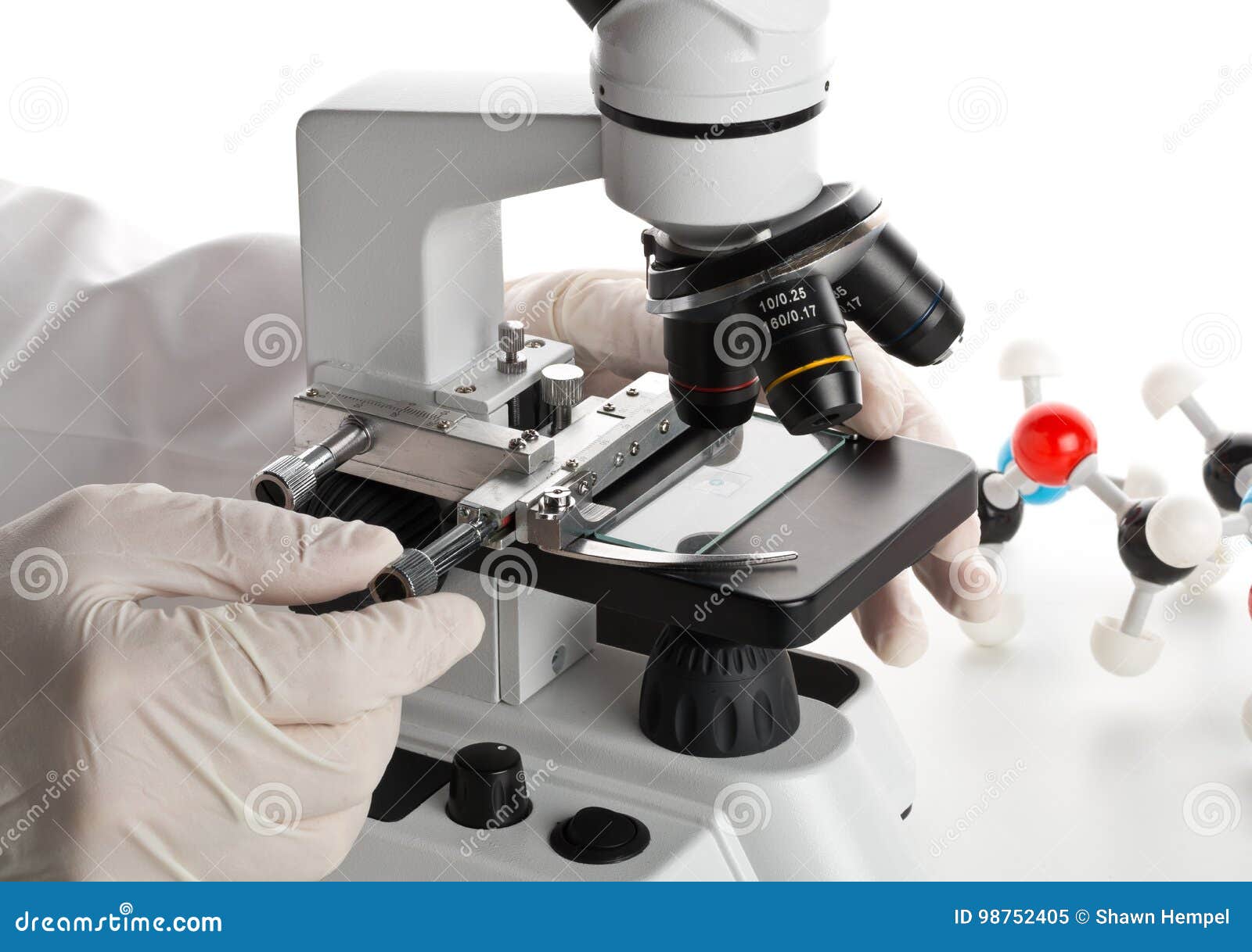 Research Scientist Working with Specimen Plate on Microscope Wit Stock ...