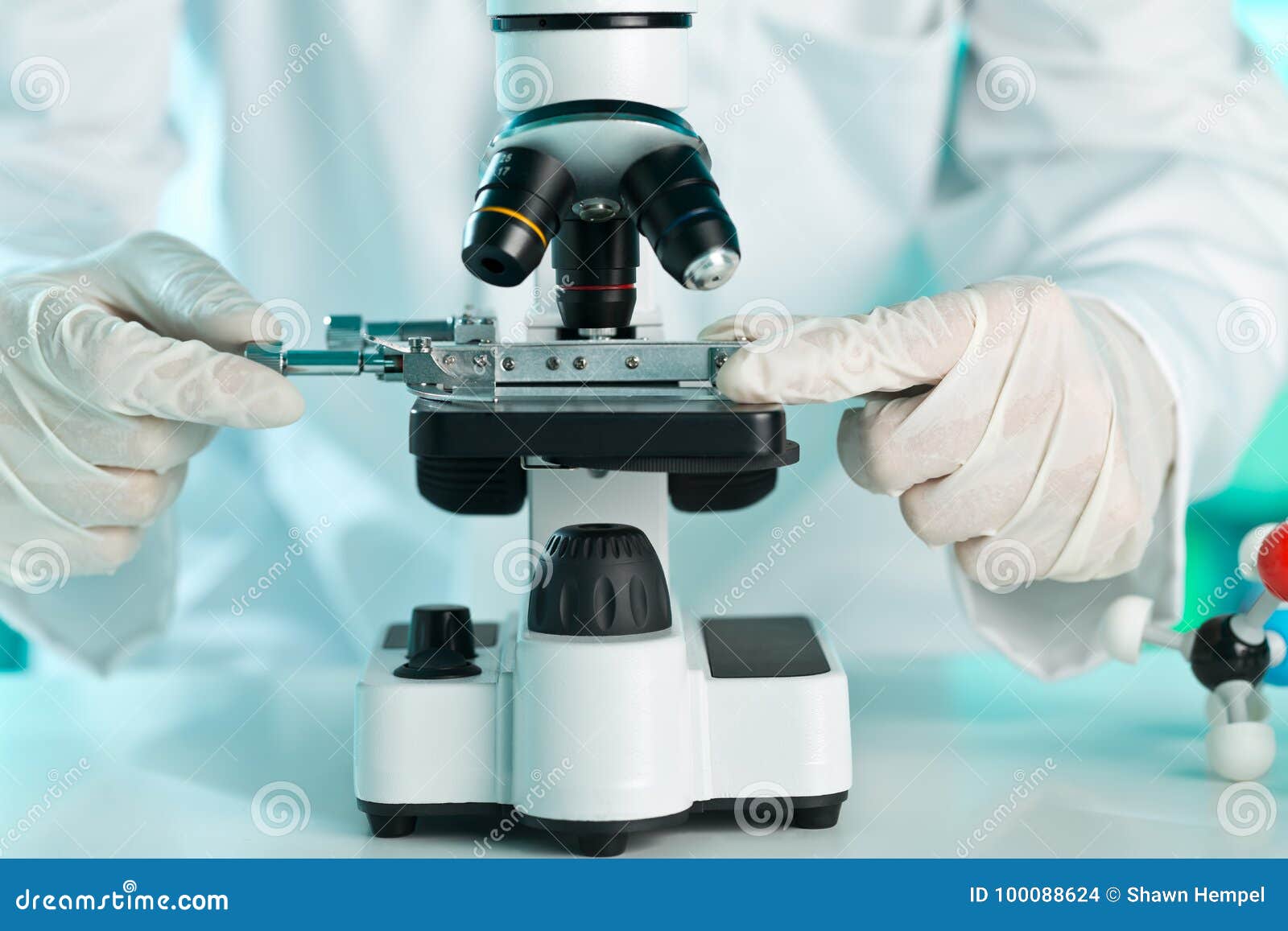 Research Scientist Working with Specimen Plate on Microscope Wit Stock ...