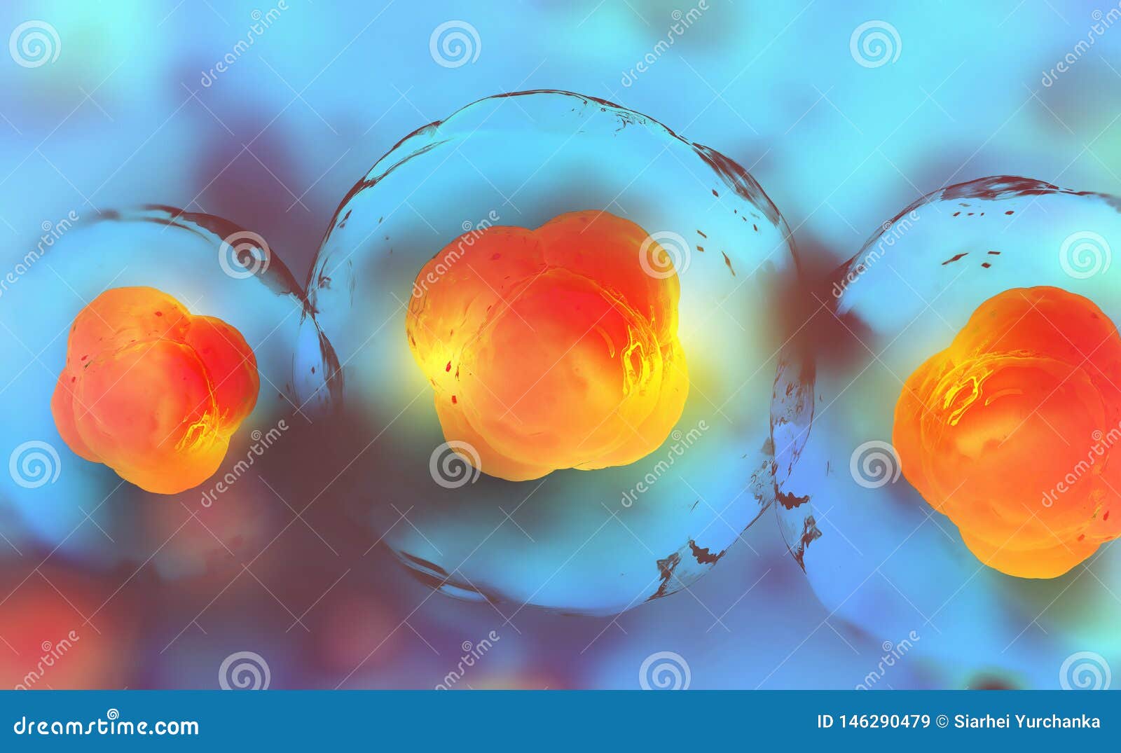 Cellular Division Under Microscope. Mitosis, The Process Of Cell ...