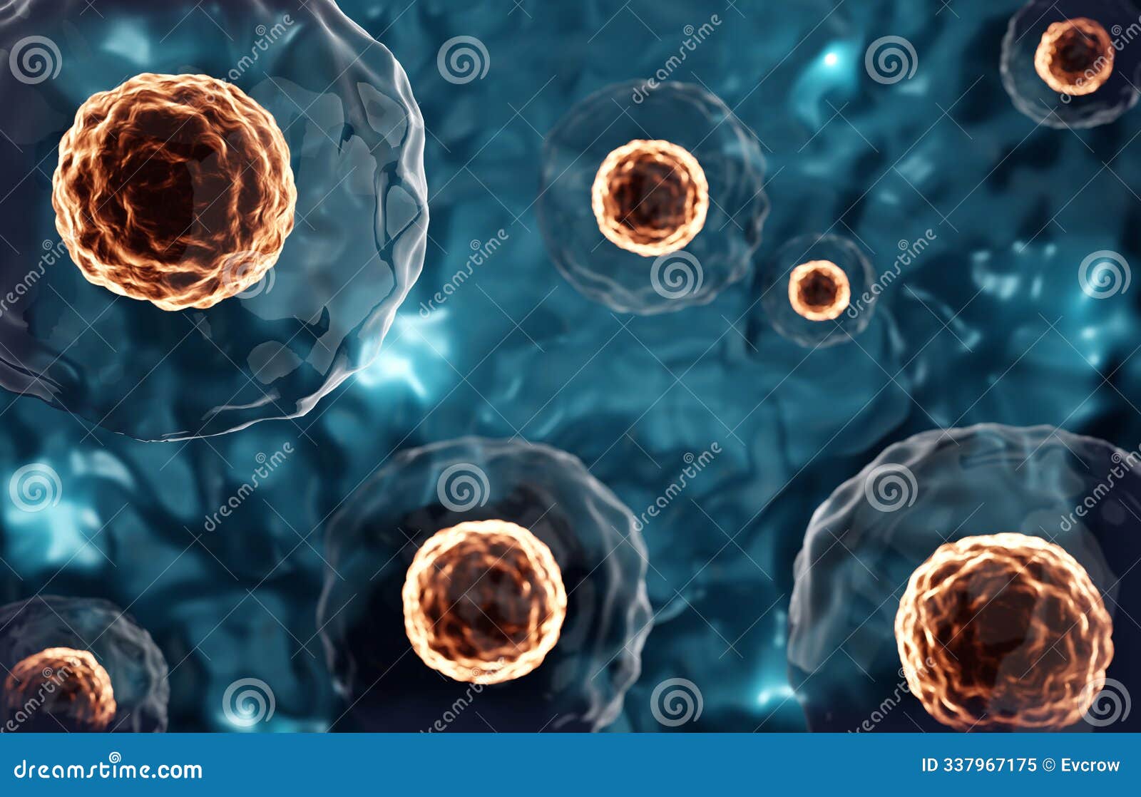 Research of Stem Cells. Stem Cells Under a Microscope Stock Image ...