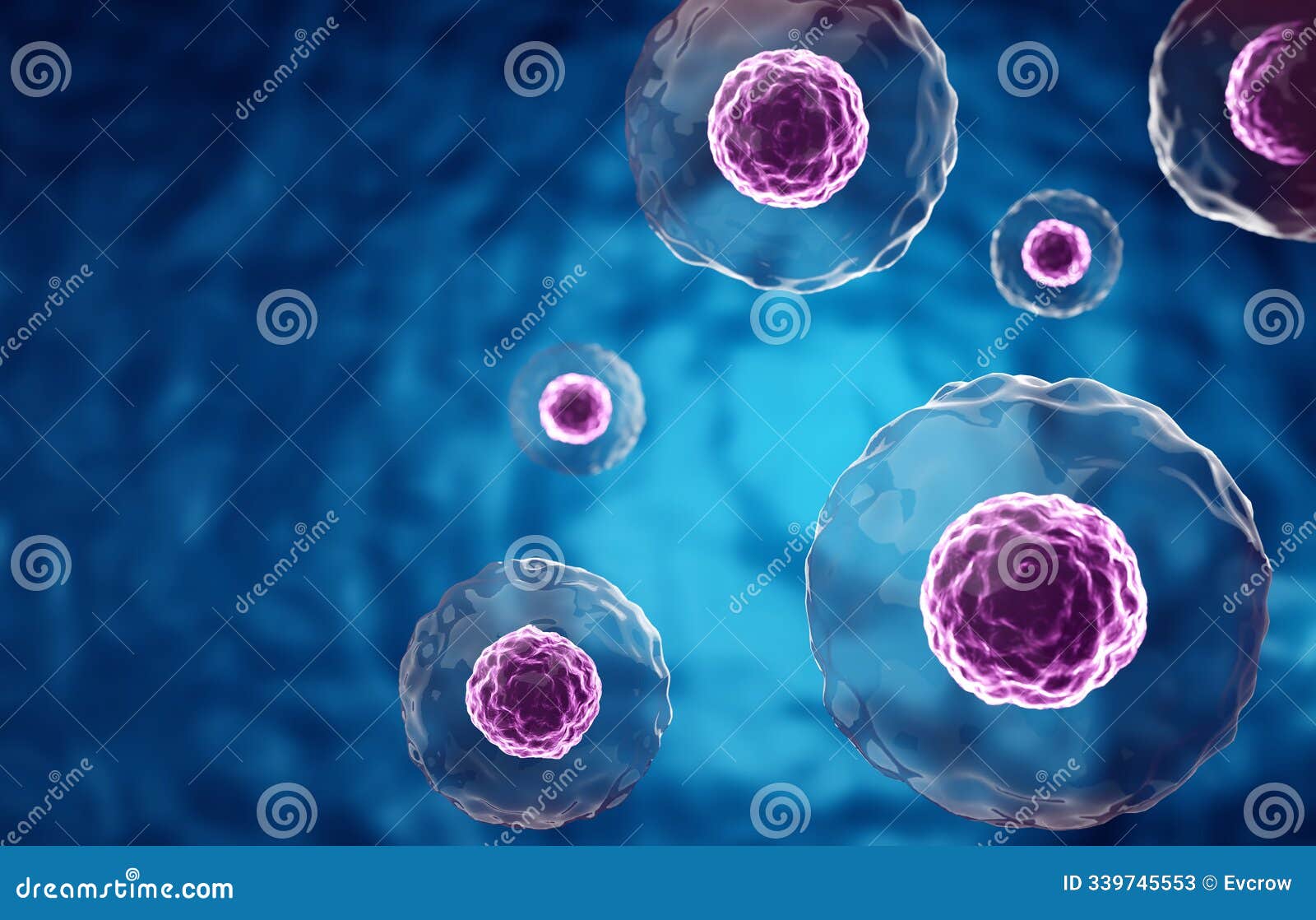 Research of Stem Cells. Stem Cells Under a Microscope Stock Image ...