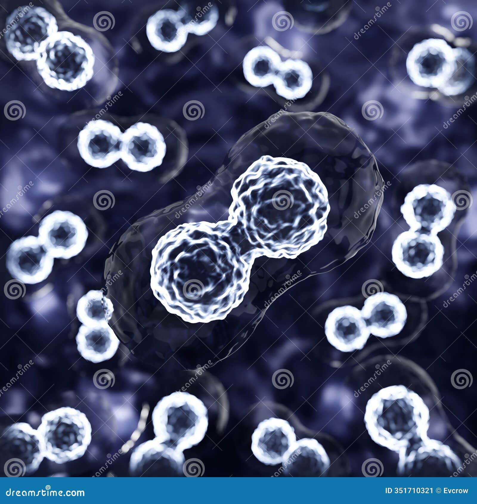 Research of Stem Cells. Cells Under a Microscope Stock Image - Image of ...