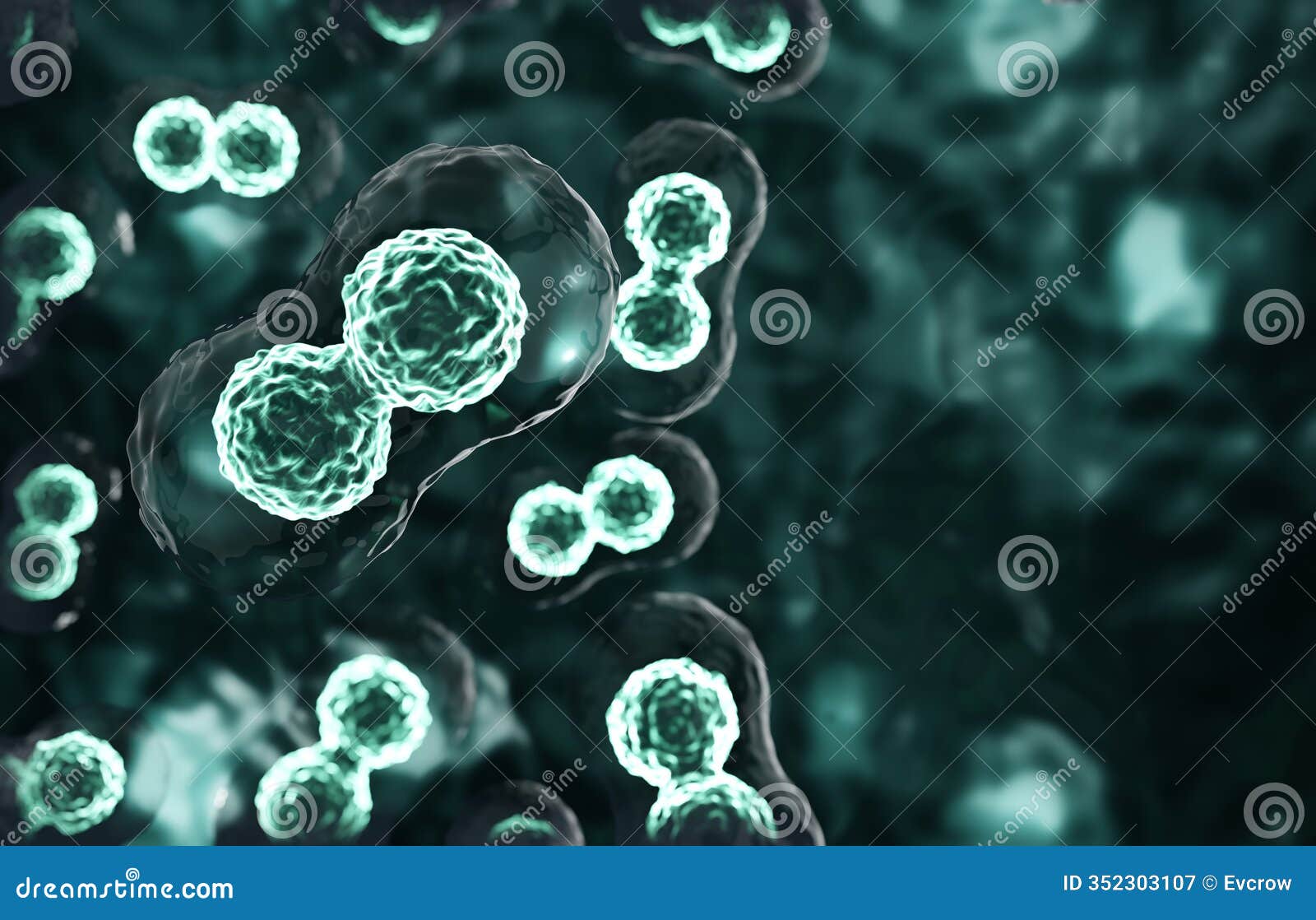 Research of Stem Cells. Cells Under a Microscope Stock Image - Image of ...