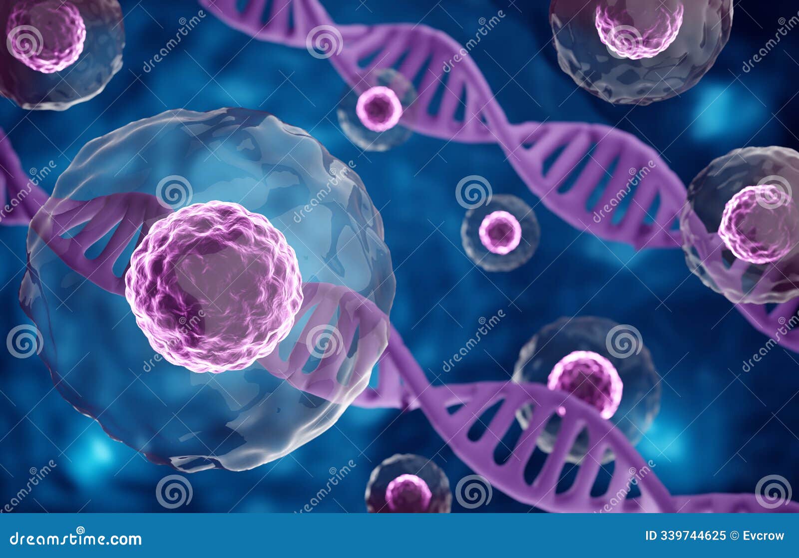 Research of Stem Cells. Stem Cells Under a Microscope. Cellular Therapy ...