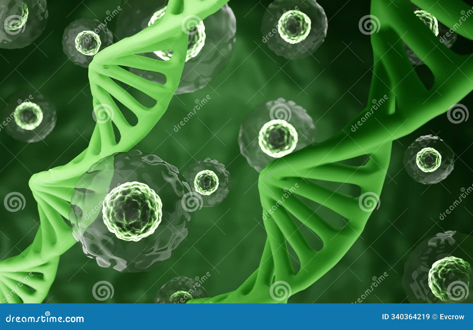 Cellular Therapy And Regeneration, Microscope Of Cell, Embryonic Stem ...
