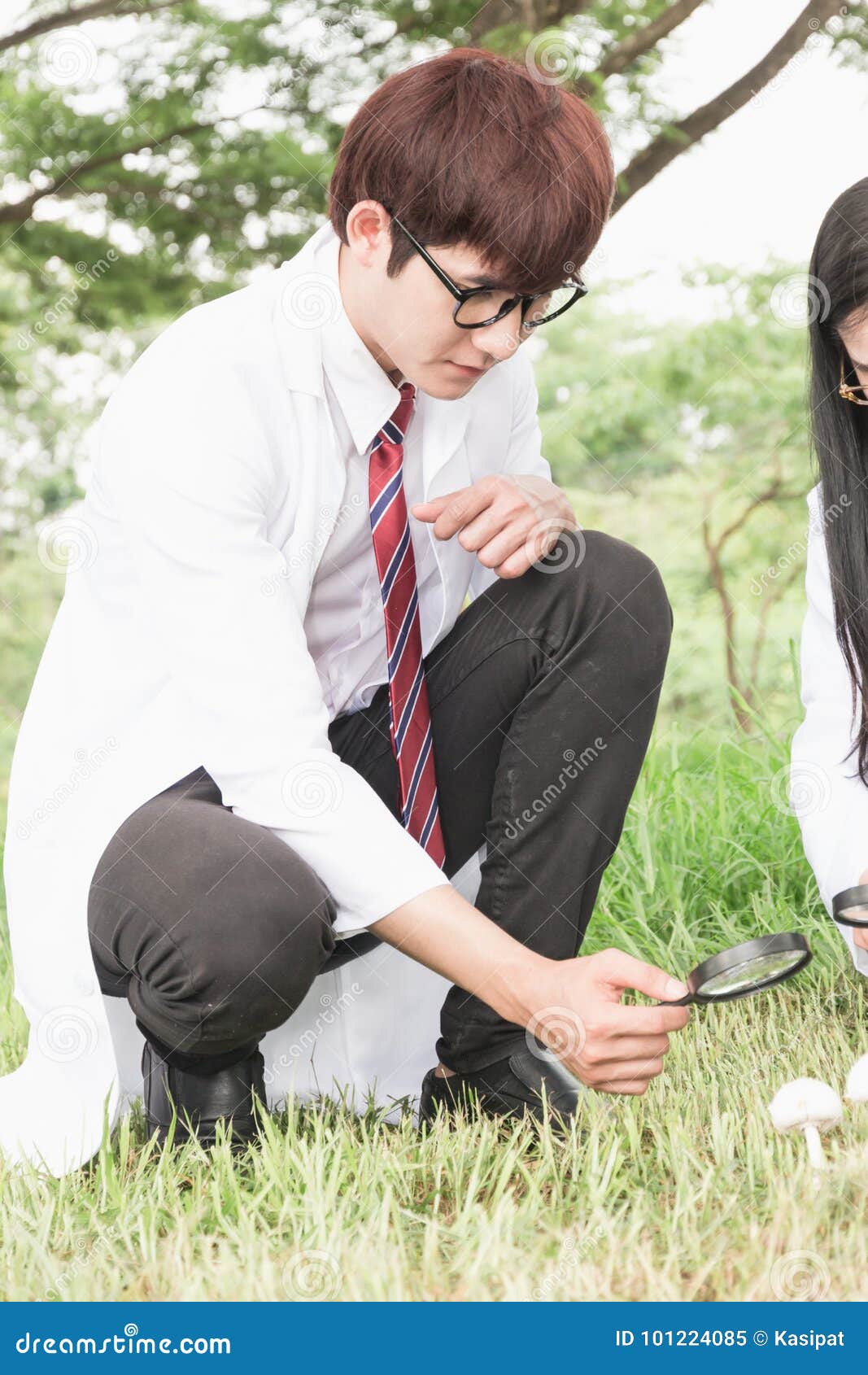 Research study nature stock image. Image of moss, forest - 101224085