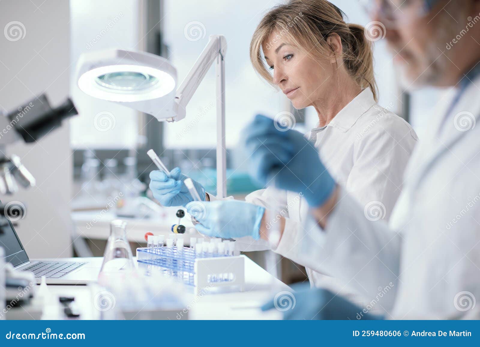 Research Team Working in the Lab Stock Photo - Image of people ...