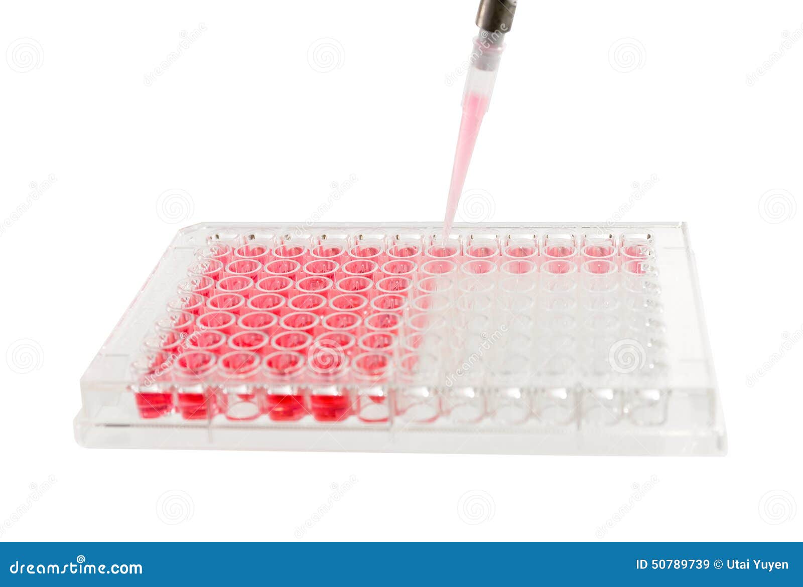 Research Test Lab Elisa Plate Stock Image - Image of chemical, research ...