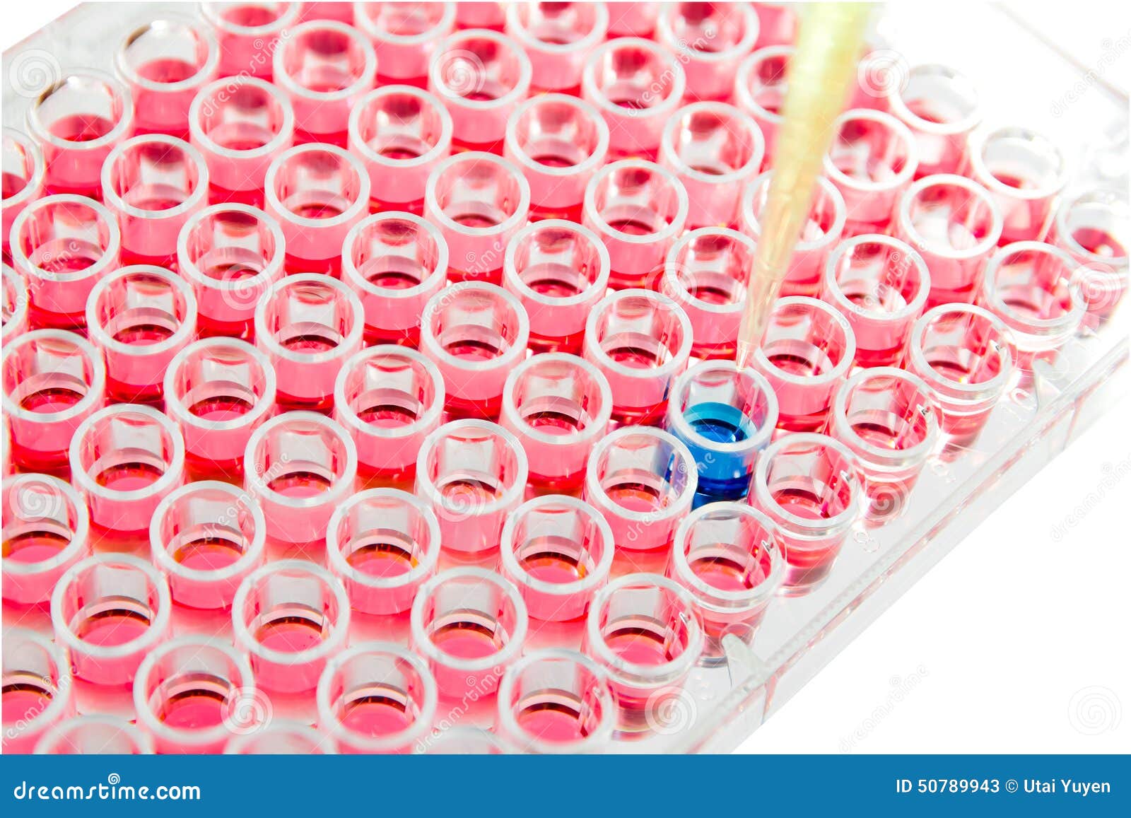 Research test lab stock image. Image of test, research - 50789943