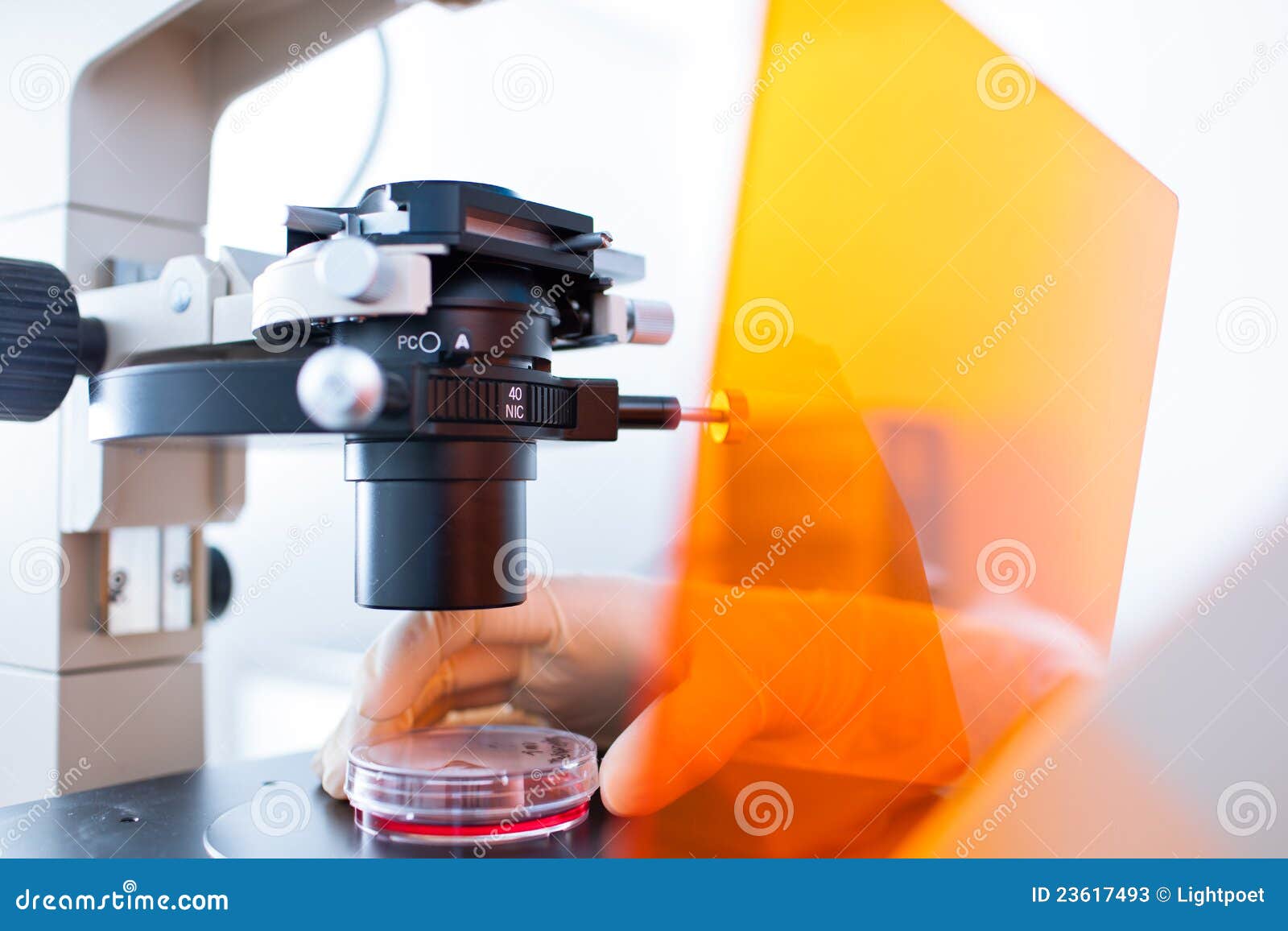 Research - Using a Modern Microscope in a Lab Stock Image - Image of ...