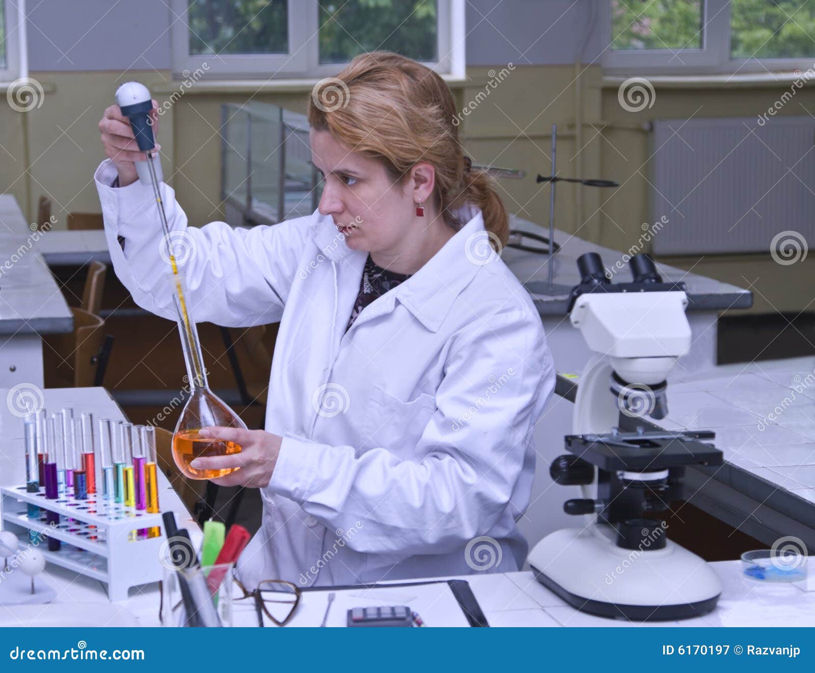 Research work stock image. Image of attitude, scholarship - 6170197