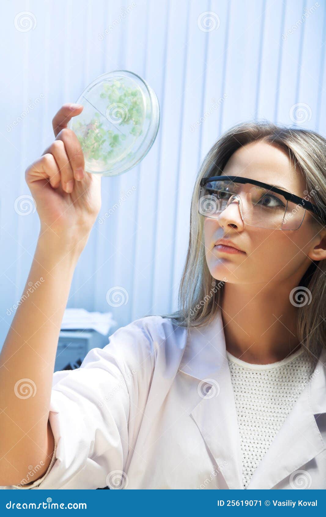 Researcher stock image. Image of macro, green, organism - 25619071