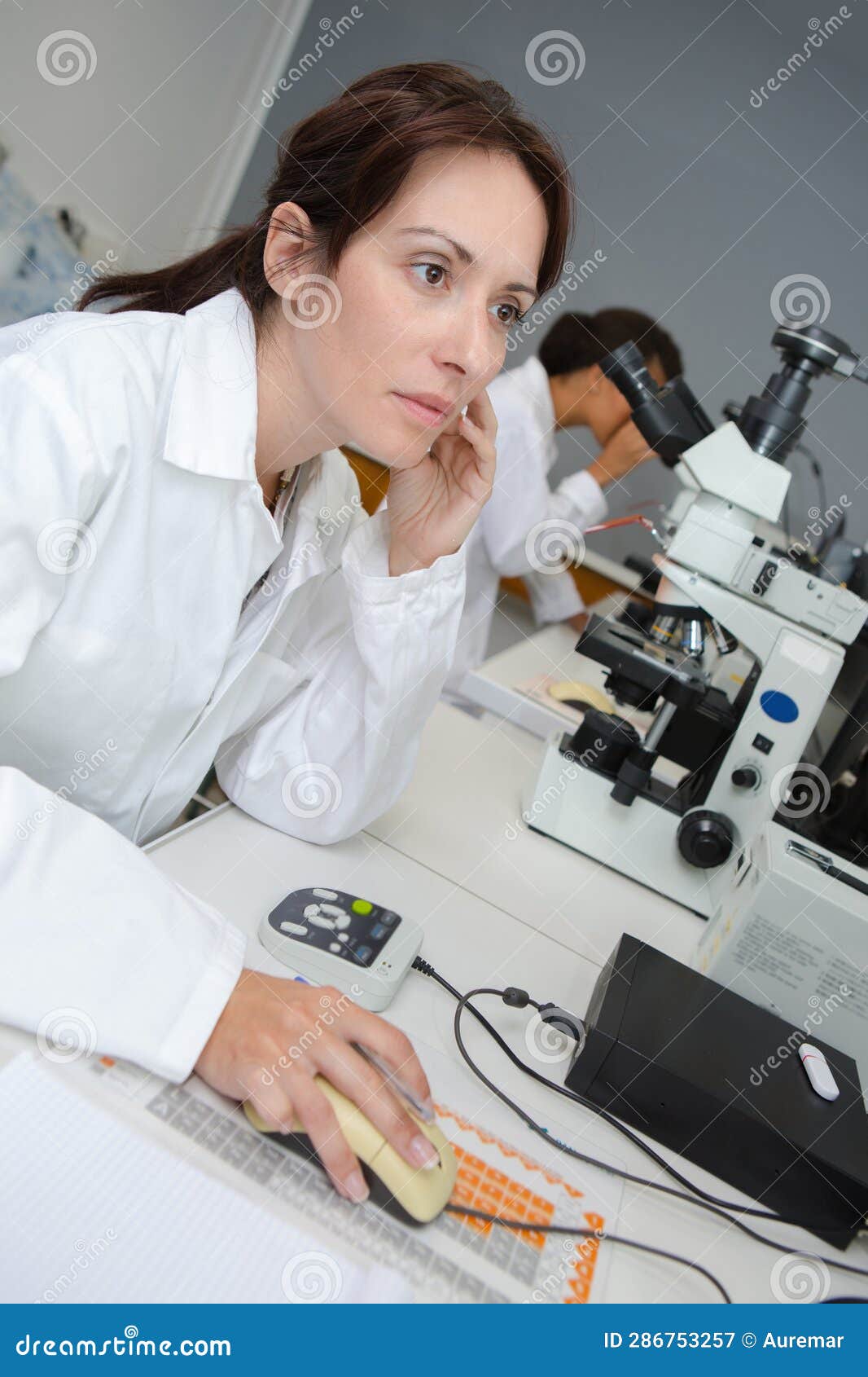 Researcher Analyzing Liquid Chromatography Data Stock Image - Image of ...