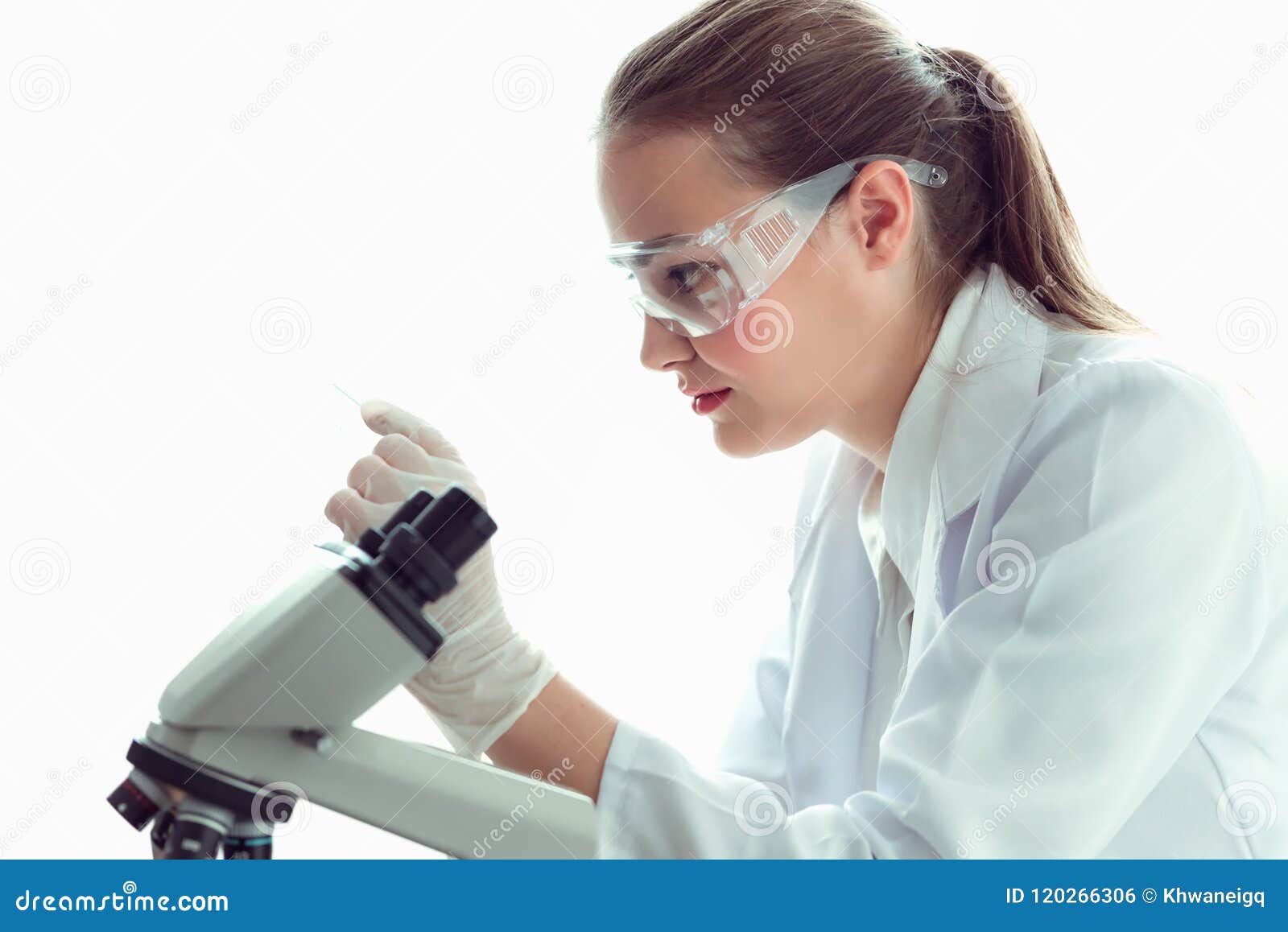 Researcher Bio Technology is Looking at Sample Bacteria Testing, Stock ...