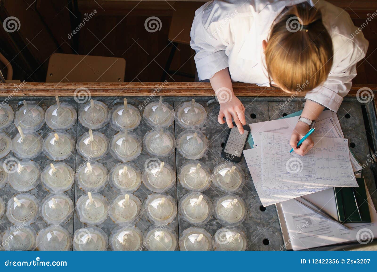 Researcher Computing Laboratory Calculations on the Calculator at Her ...