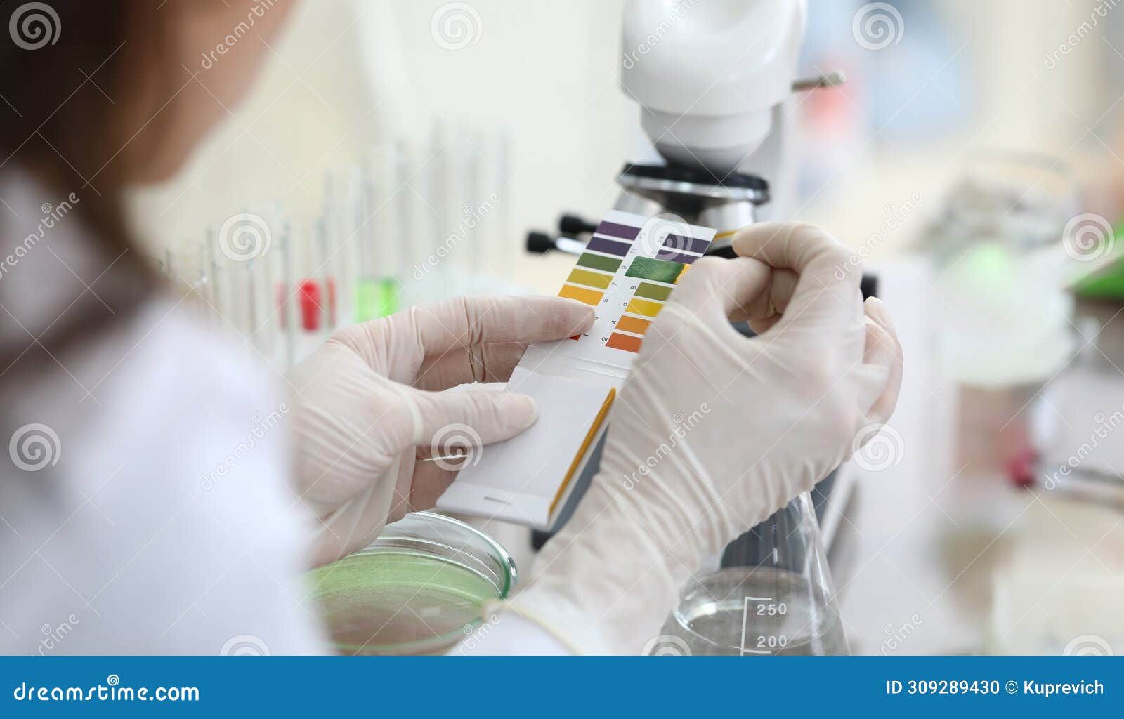 Researcher Doing Comparison Stock Photo - Image of scientists, sample ...