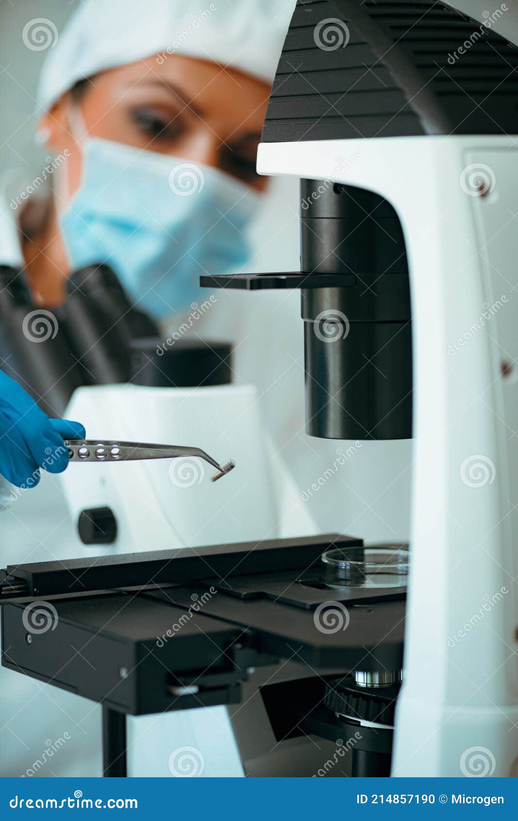 Researcher Examining Implant Chip Under the Microscope Stock Photo ...