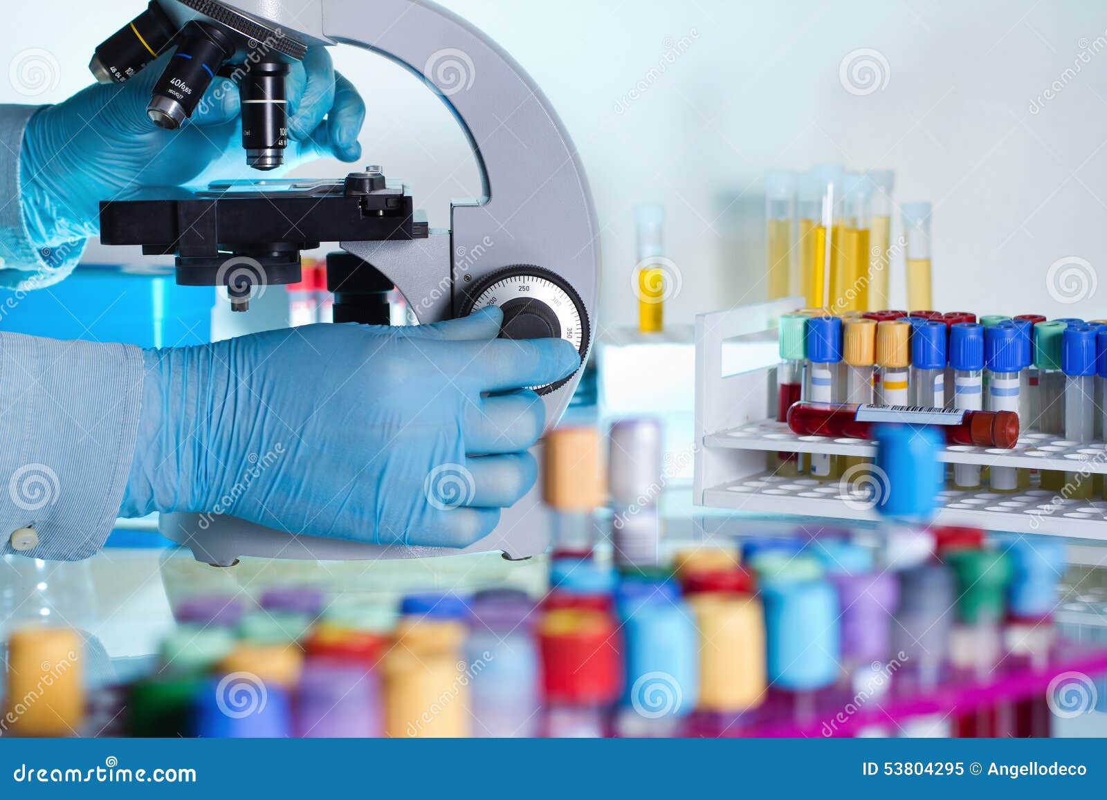 Researcher Examining A Sample Under A Microscope In The Laboratory ...