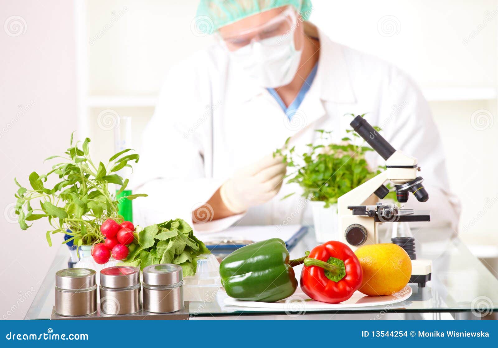 Gmo lab report - uirunisaza.web.fc2.com