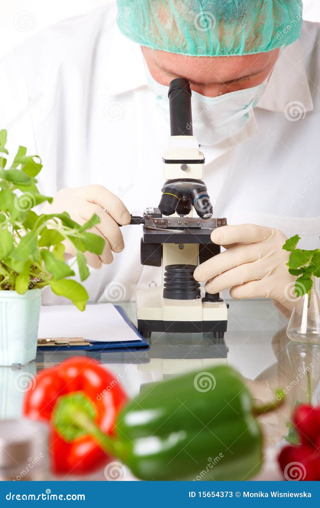 Researcher with GMO Vegetable Stock Image - Image of discovery, glasses ...