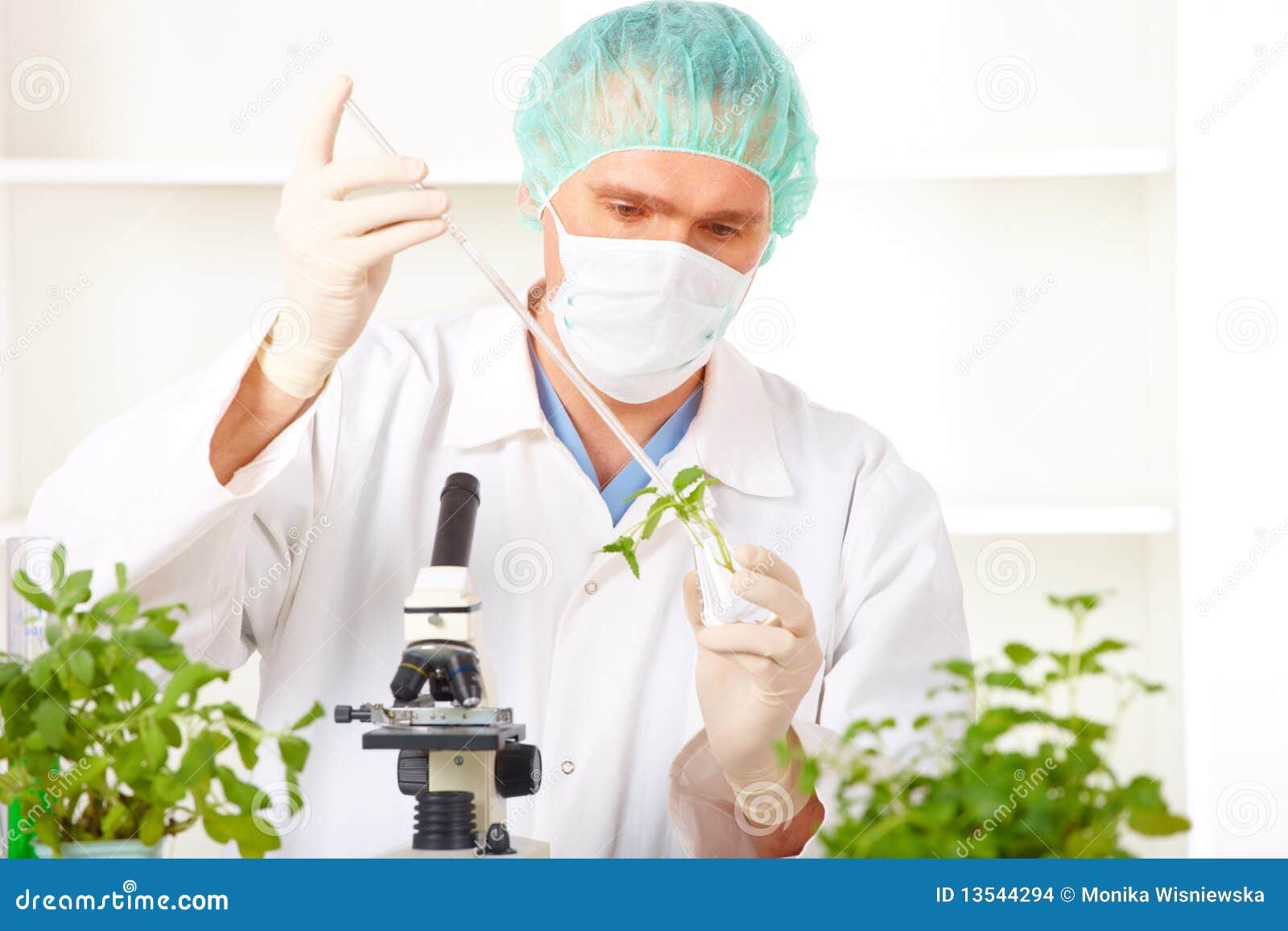 Researcher Holding Up A GMO Plant In The Lab Stock Images - Image: 13544294