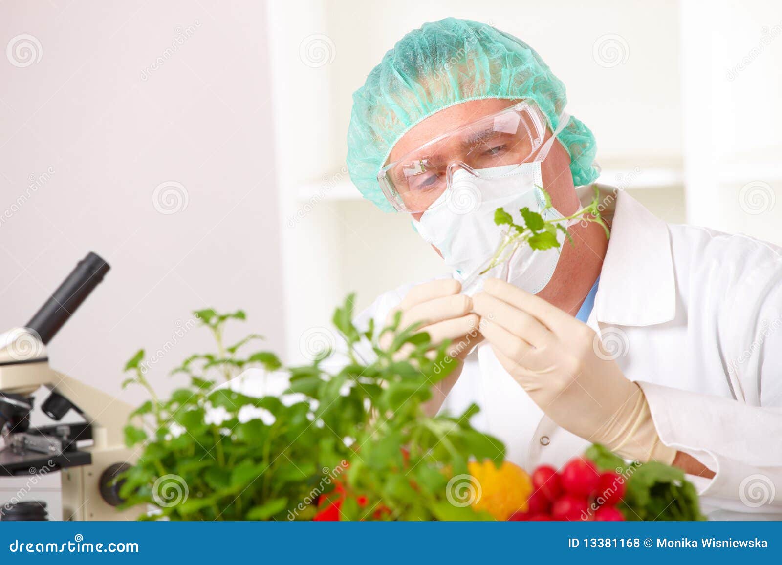Researcher Holding Up a GMO Vegetable Stock Photo - Image of discovery ...