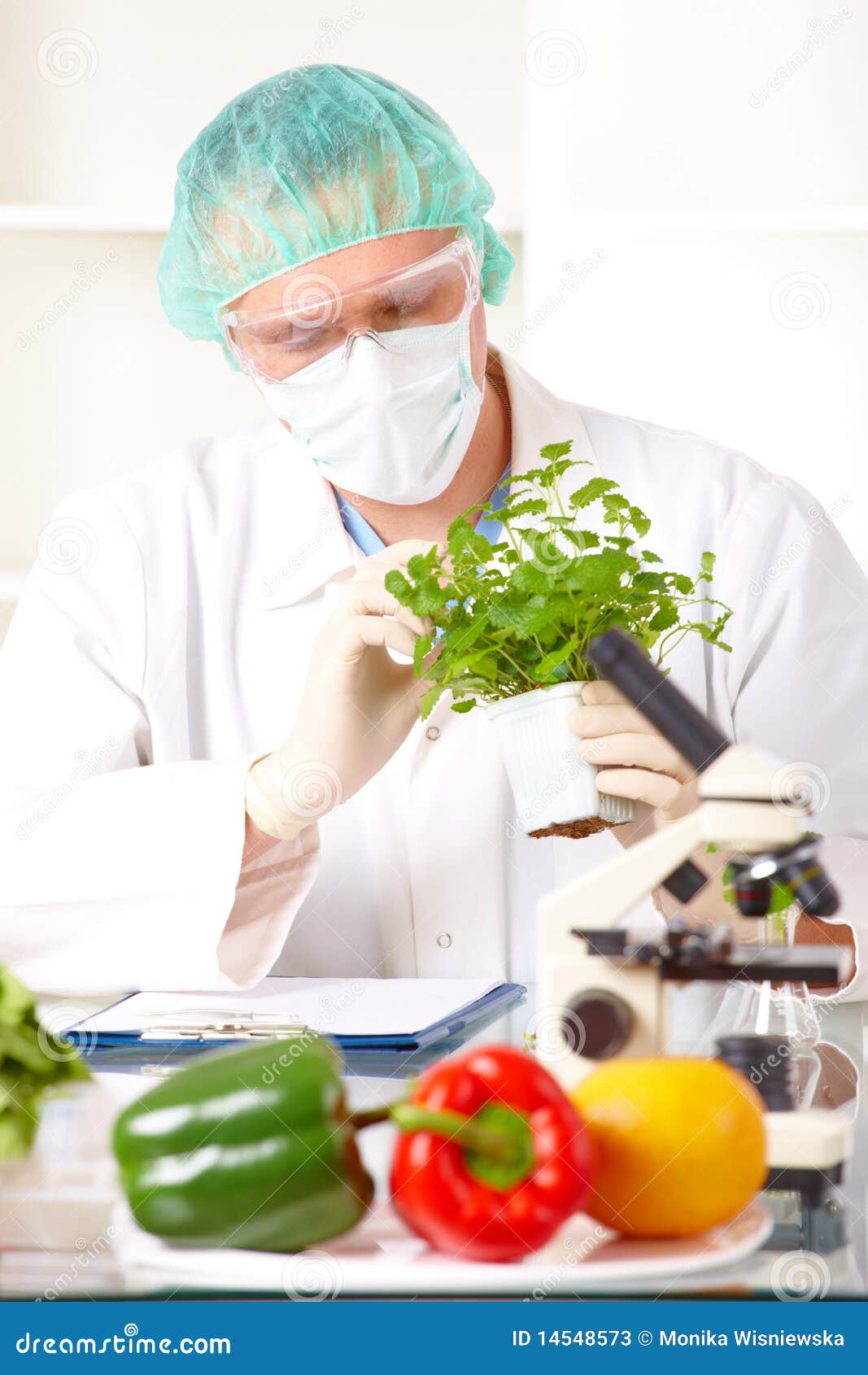 Researcher Holding Up a GMO Vegetable Stock Image - Image of bell ...
