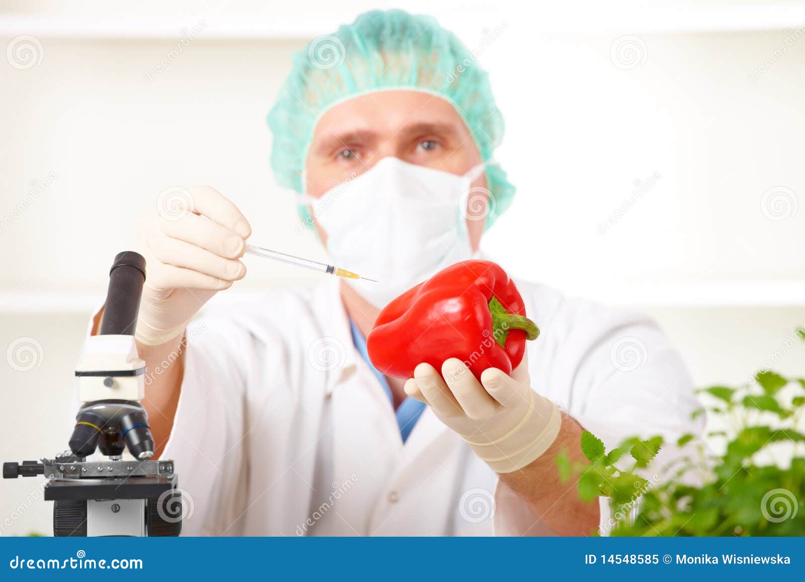 Researcher Holding Up a GMO Vegetable Stock Image - Image of fresh ...