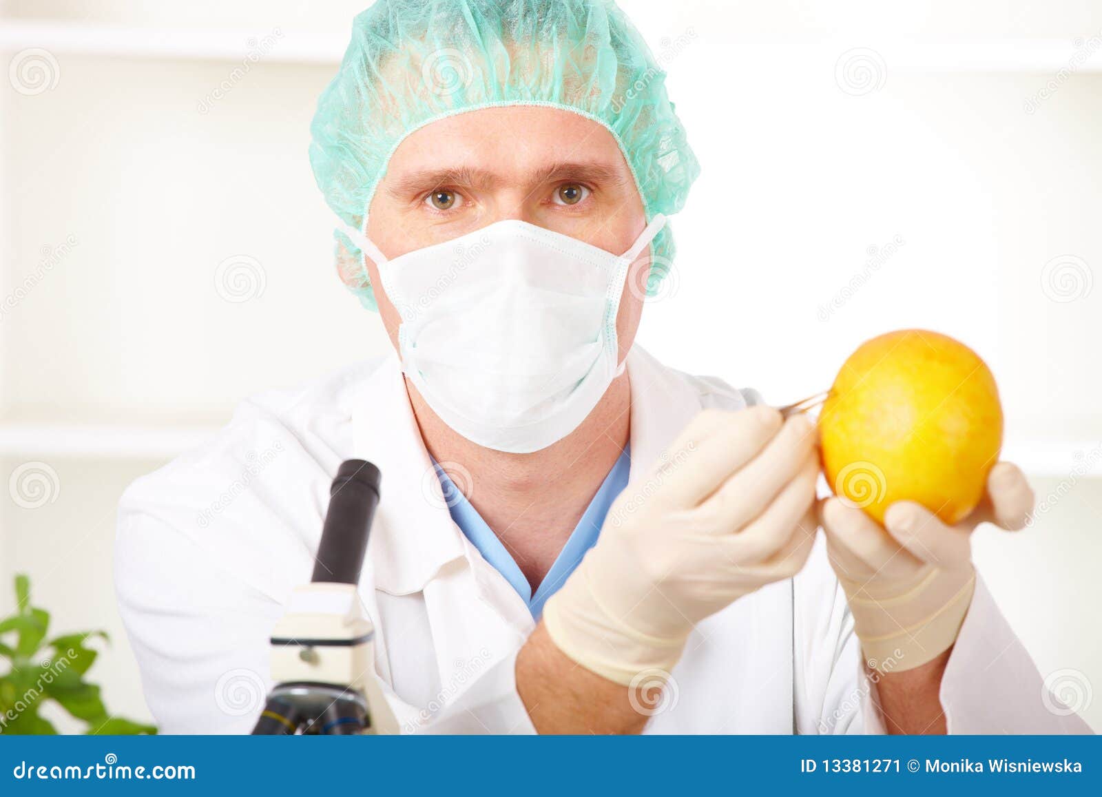 Researcher Holding Up a GMO Vegetable in the Lab Stock Image - Image of ...