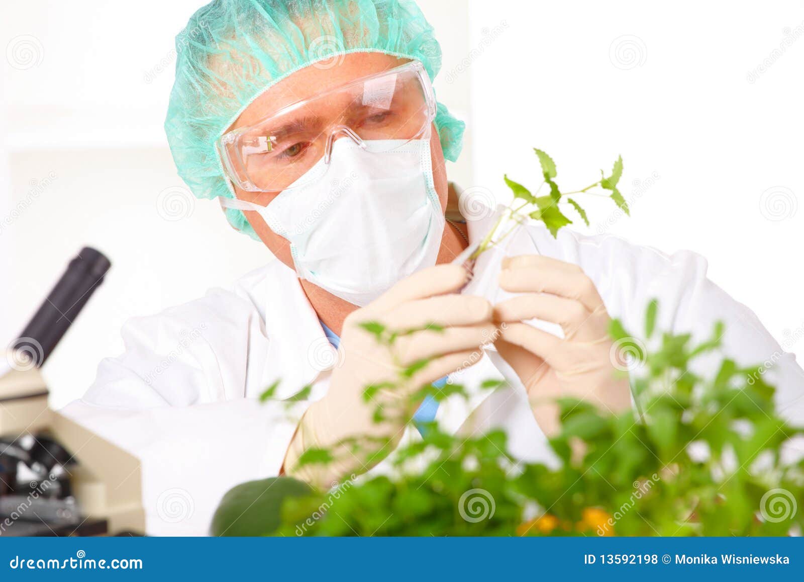 Researcher Holding Up a GMO Vegetable in the Lab Stock Photo - Image of ...