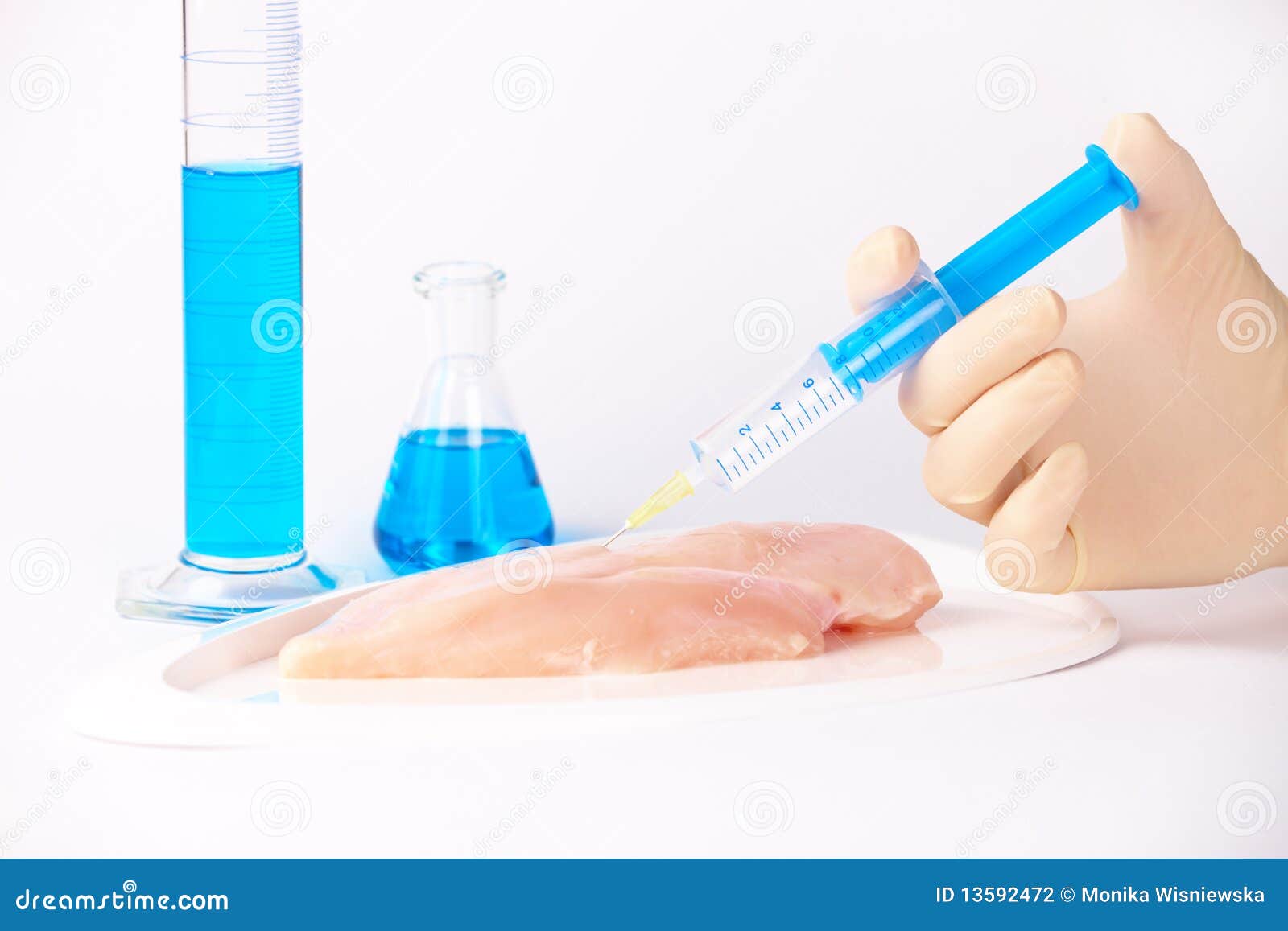 Researcher Injecting GMO Chicken Meat Stock Photo - Image of fillet ...