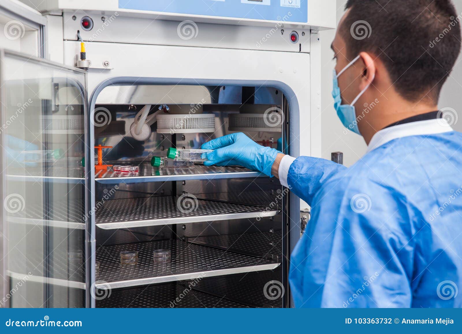 Researcher Introducing a Cell Culture Flask into an Incubator Stock ...