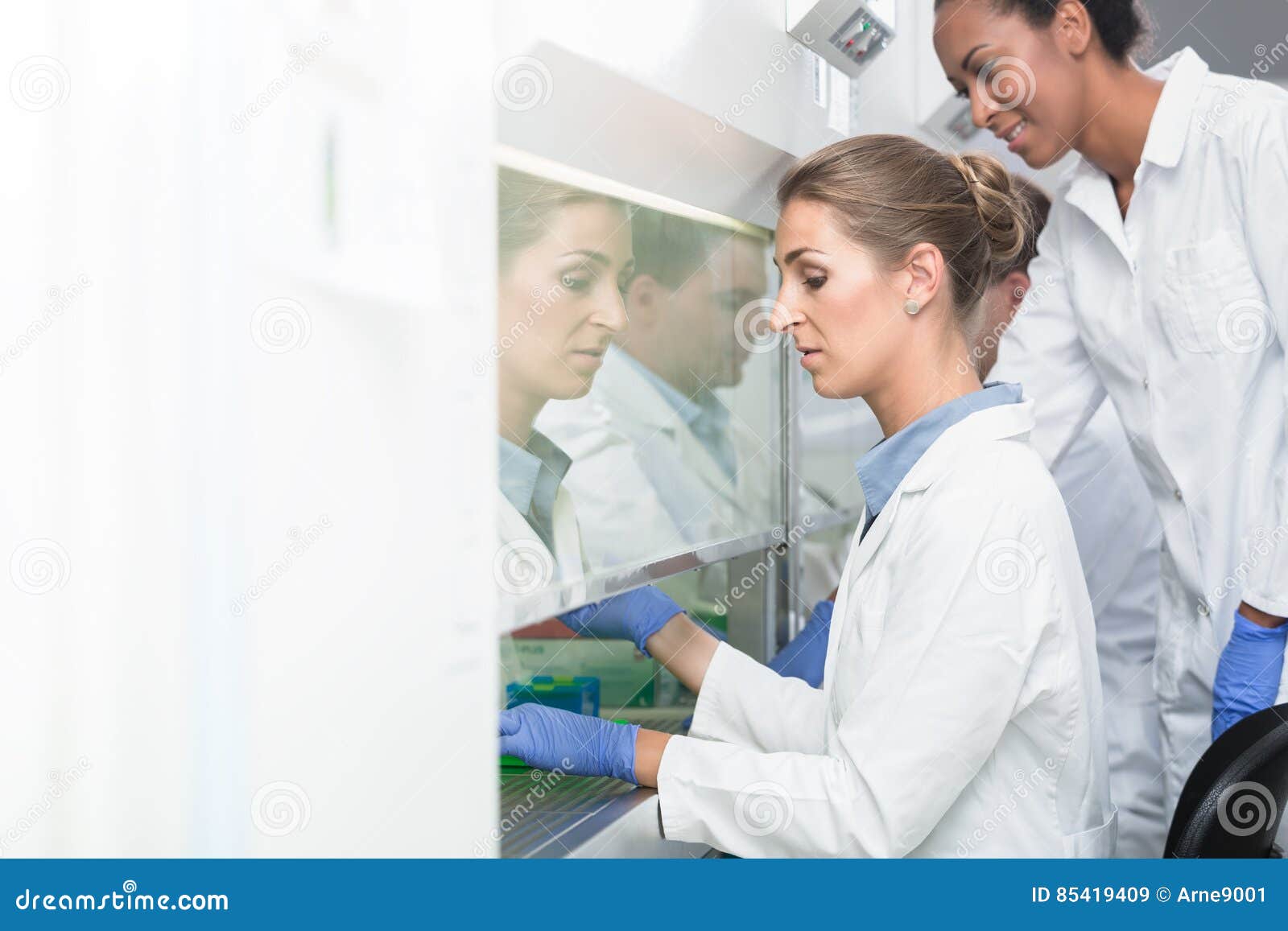 Researcher and Lab Assistant Working Together on Scientific Samples ...